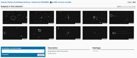 Zooniverse | The Zooniverse Blog. We're the world's largest and most ...