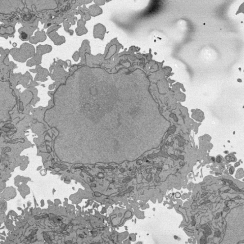 Science | Zooniverse