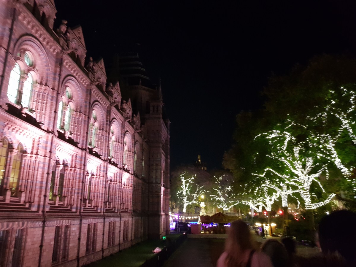 A Late Night at the Museum | Zooniverse