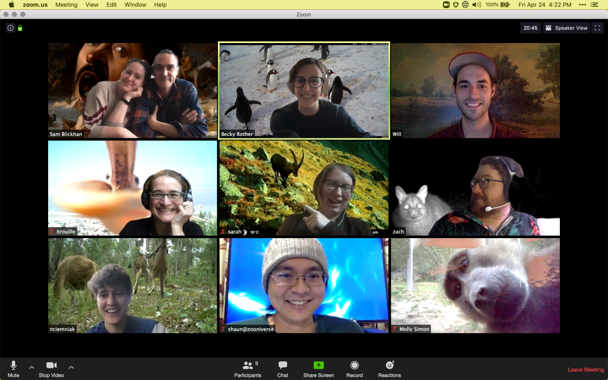 Fun with Zoom | Zooniverse