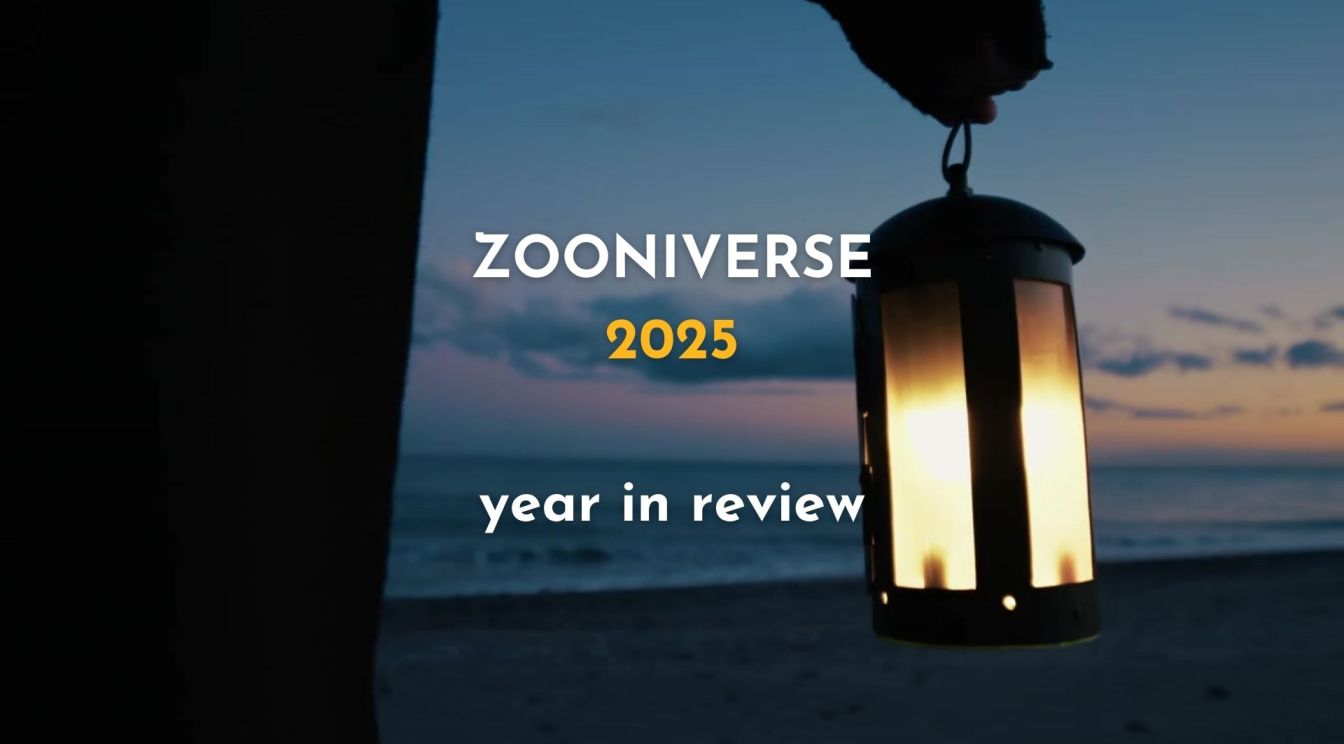 Zooniverse 2025: year in review | Zooniverse